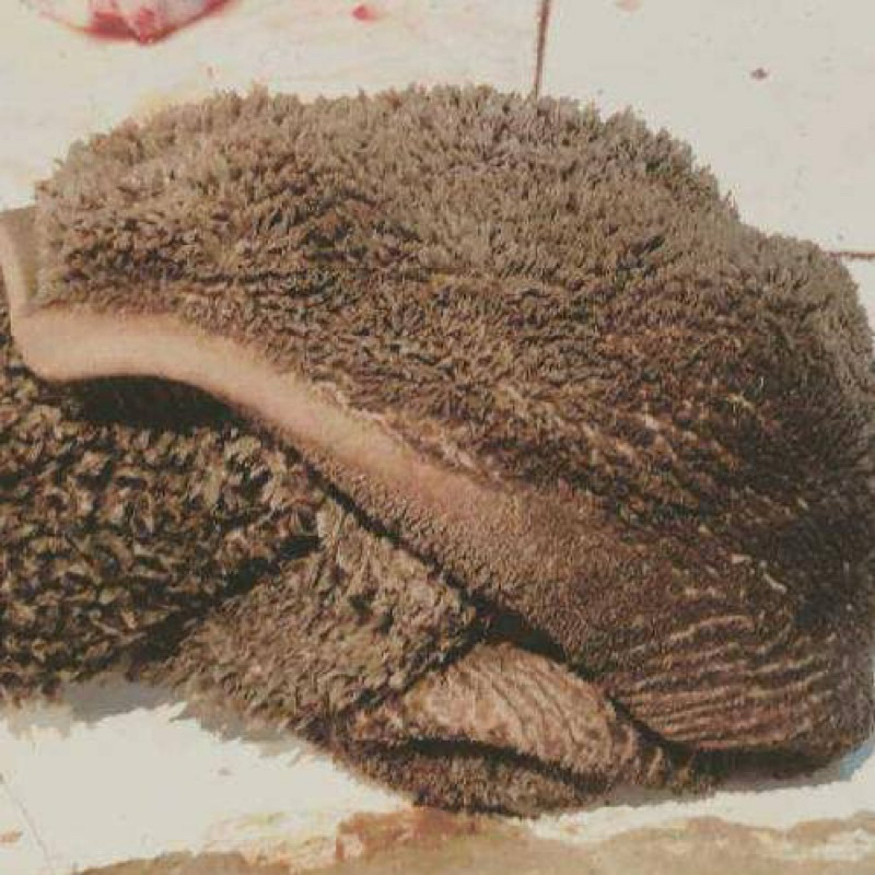 Jual BABAT SAPI DAN USUS SAPI HALAL | Shopee Indonesia