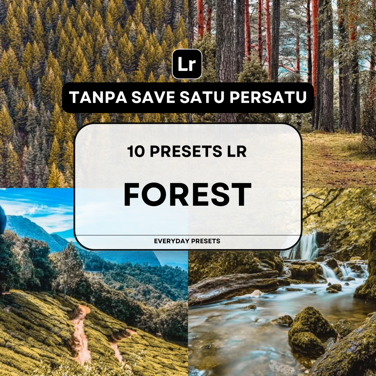 Jual 10 PRESET FOREST | LIGHTROOM | ANDROID IOS PC | Shopee Indonesia