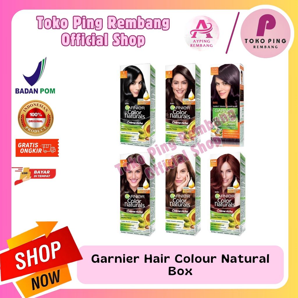 Jual Garnier Hair Colour Natural Box Warna Lengkap Semir Rambut ...