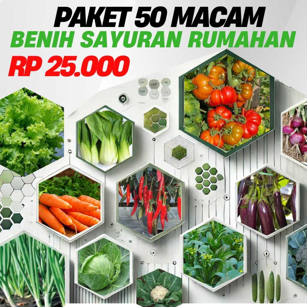 Jual PAKET 50 BENIH SAYURAN BER MACAM MACAM HEMAT MUDAH TUMBUH BIJI ...
