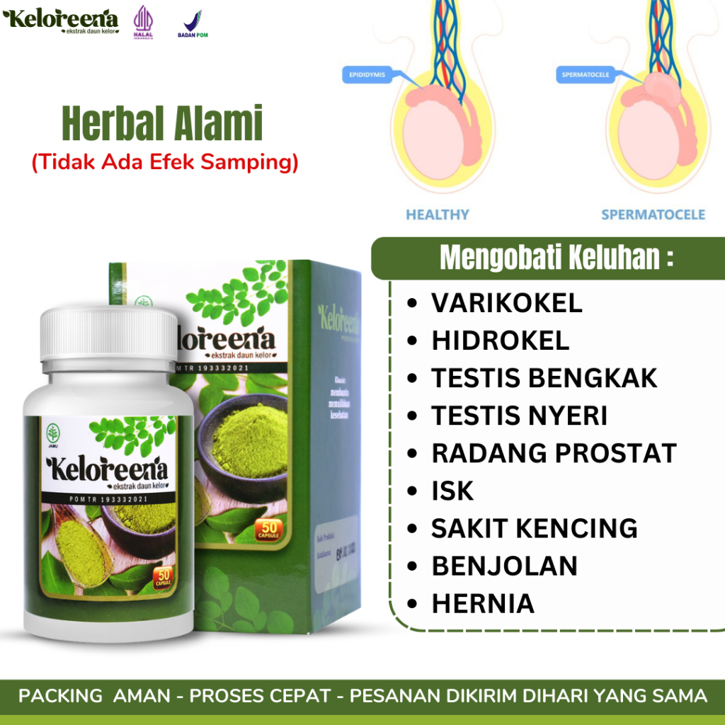 Jual Obat Varikokel, Hidrokel, Testis Bengkak, Buah Zakar Bengkak ...