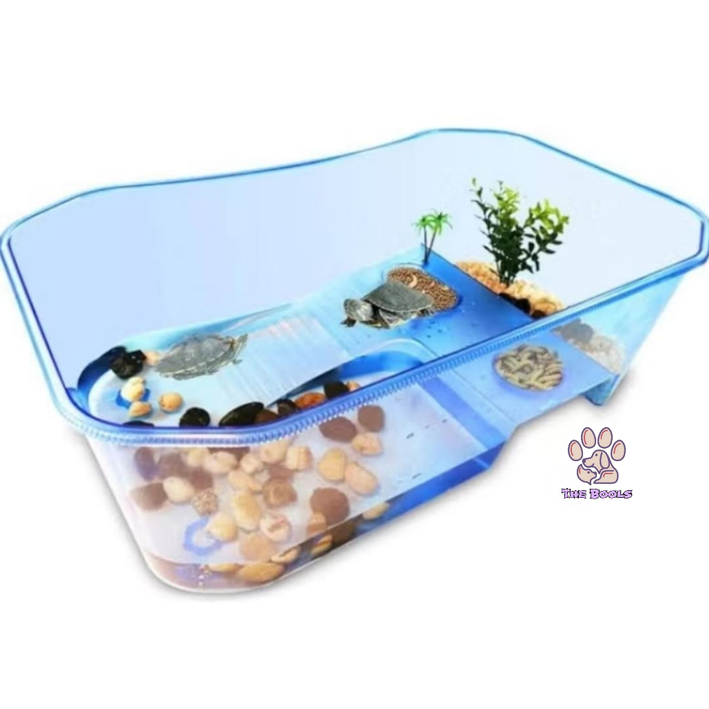 Jual (The Bool's) TANK TURTLE AQUARIUM EMBER KANDANG VIVARIUM AKUARIUM FILTER RUMAH BAK TEMPAT ...