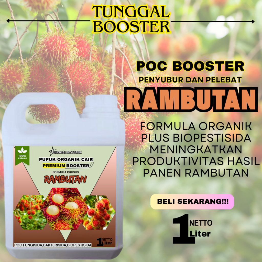 Jual Pupuk Organik Cair Tanaman Rambutan/Pelebat Rambutan/Booster Buah Rambutan/Perangsang ...