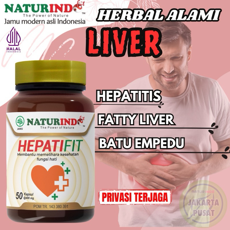 Jual Naturindo Hepatifit Herbal Obat Alergi Liver Yang Bengkak ...