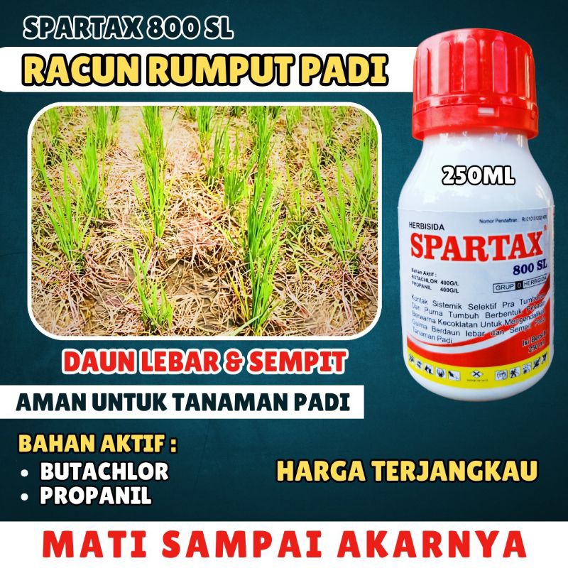 Jual SOLUSI PETANI ATASI GULMA PADA TANAMAN PADI | HERBISIDA SISTEMIK ...