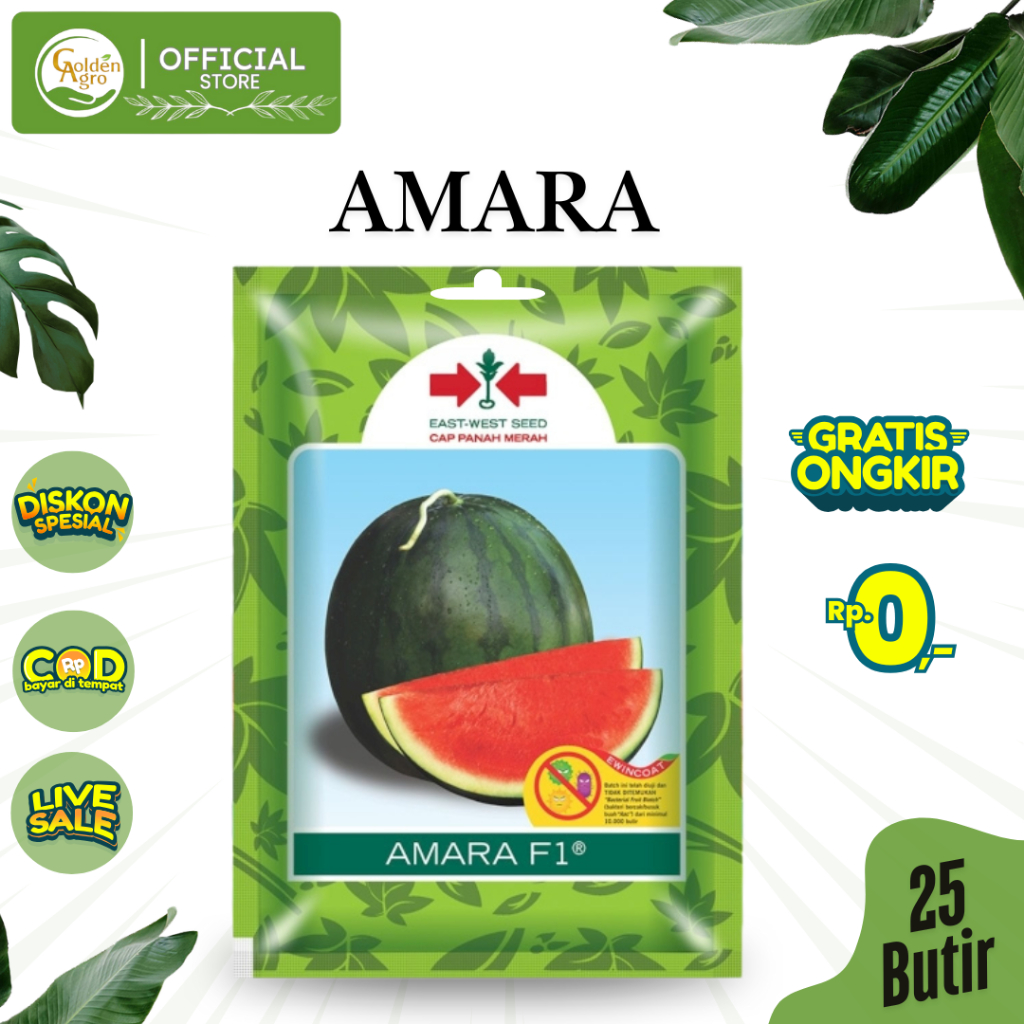 Jual BENIH BIBIT SEMANGKA NON BIJI AMARA F1 25 Butir CAP PANAH MERAH | Shopee Indonesia