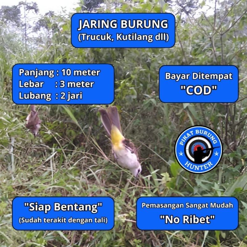 Jual JARING JERAT BURUNG TRUCUKAN JARINGAN BURUNG SIAP PAKE JARING ...