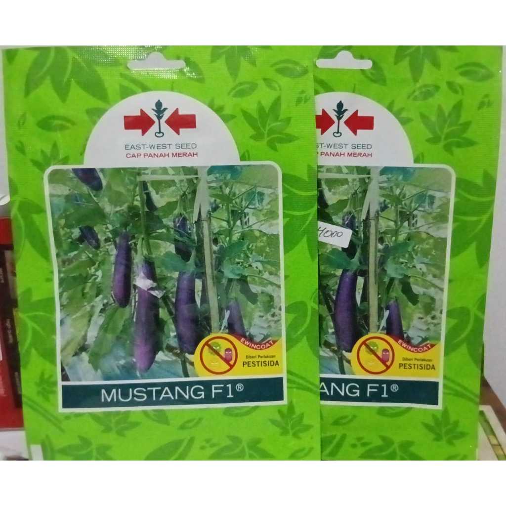 Jual BENIH TERUNG UNGU MUSTANG F1 ISI 400 biji | Shopee Indonesia