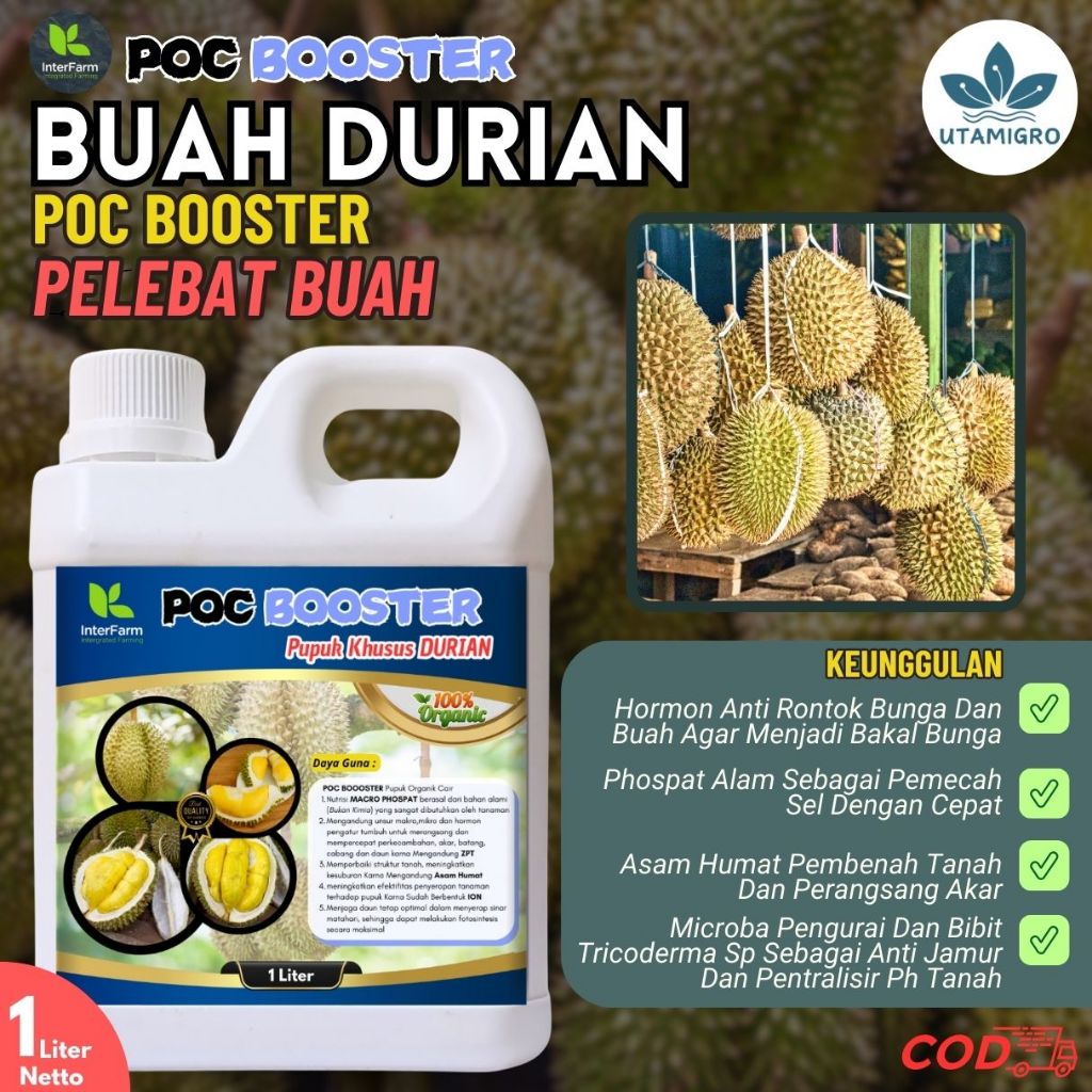 Jual Pupuk Buah Durian Agar Berbuah Lebat Di Luar Musim, Booster Buah Durian Cair 1 Liter ...