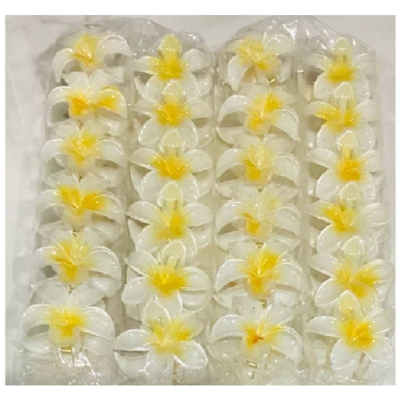 Jual JEPIT RAMBUT jedai KAMBOJA BESAR 8cm (isi12pcs) | Shopee Indonesia