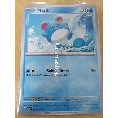 Jual KARTU POKEMON MARILL SV2P 016 071 C | Shopee Indonesia