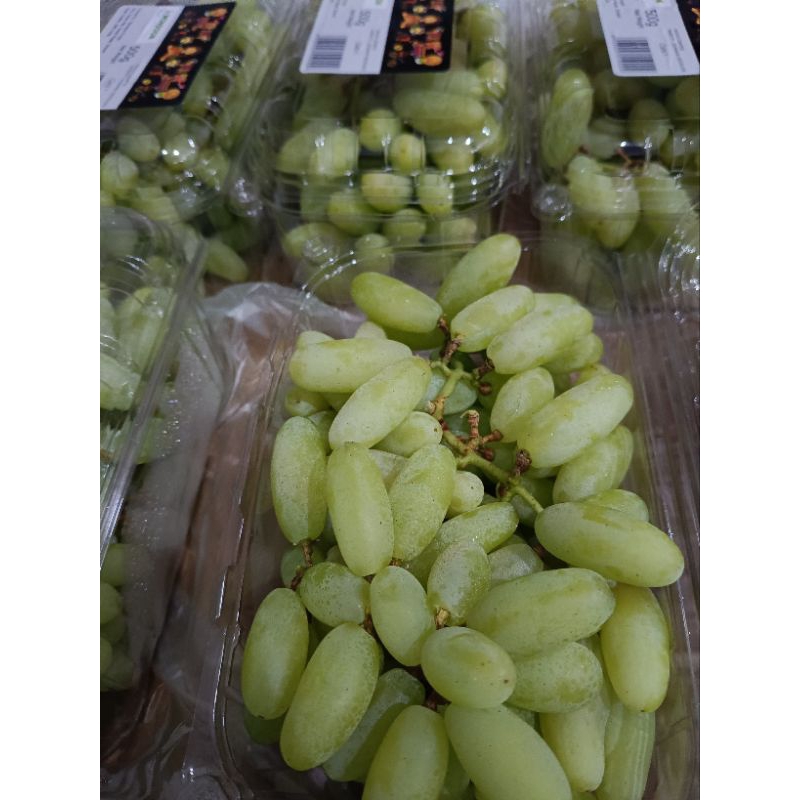 Jual Anggur Jari Hijau pack/500 gr | Shopee Indonesia
