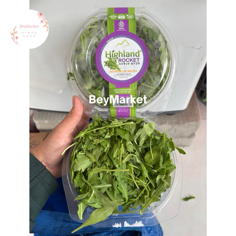 Jual Sayur Highland Rocket | Aragula Fresh 100g | Pack | Shopee Indonesia