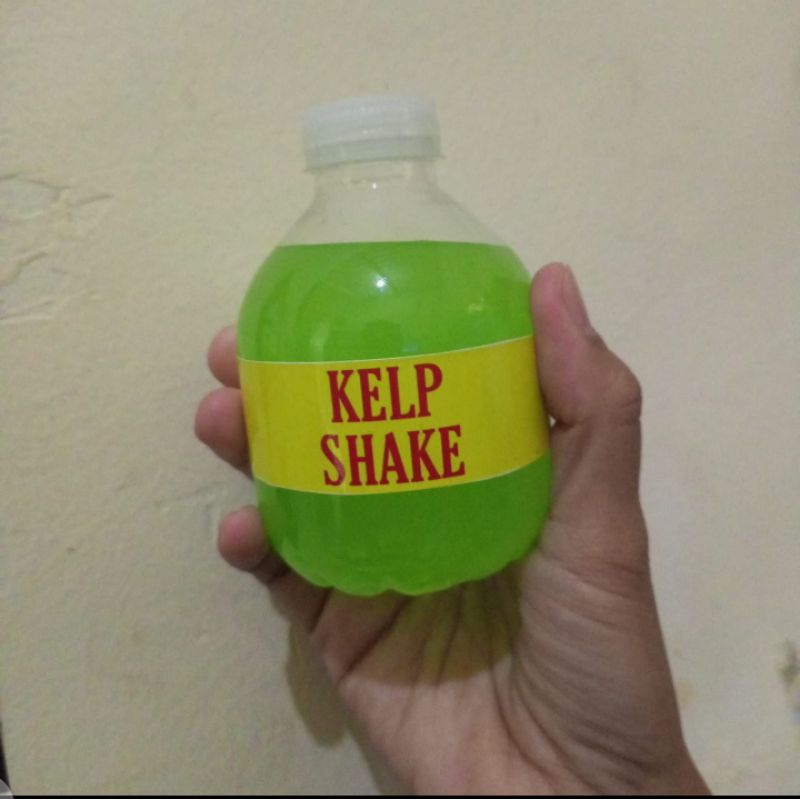 Jual kelp shake spongebob | Shopee Indonesia