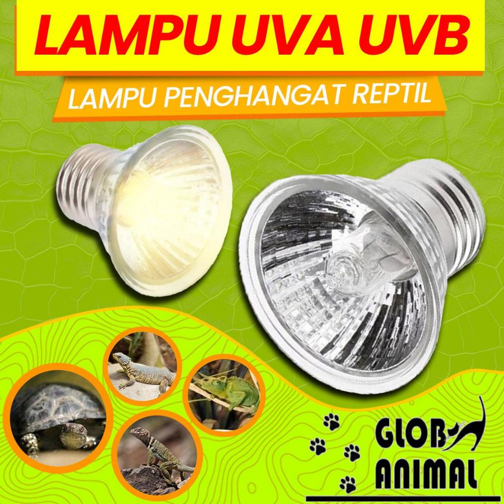 Jual LAMPU UVA UVB lampu reptil lampu penghangat kandang torto kura lampu halogen | Shopee Indonesia