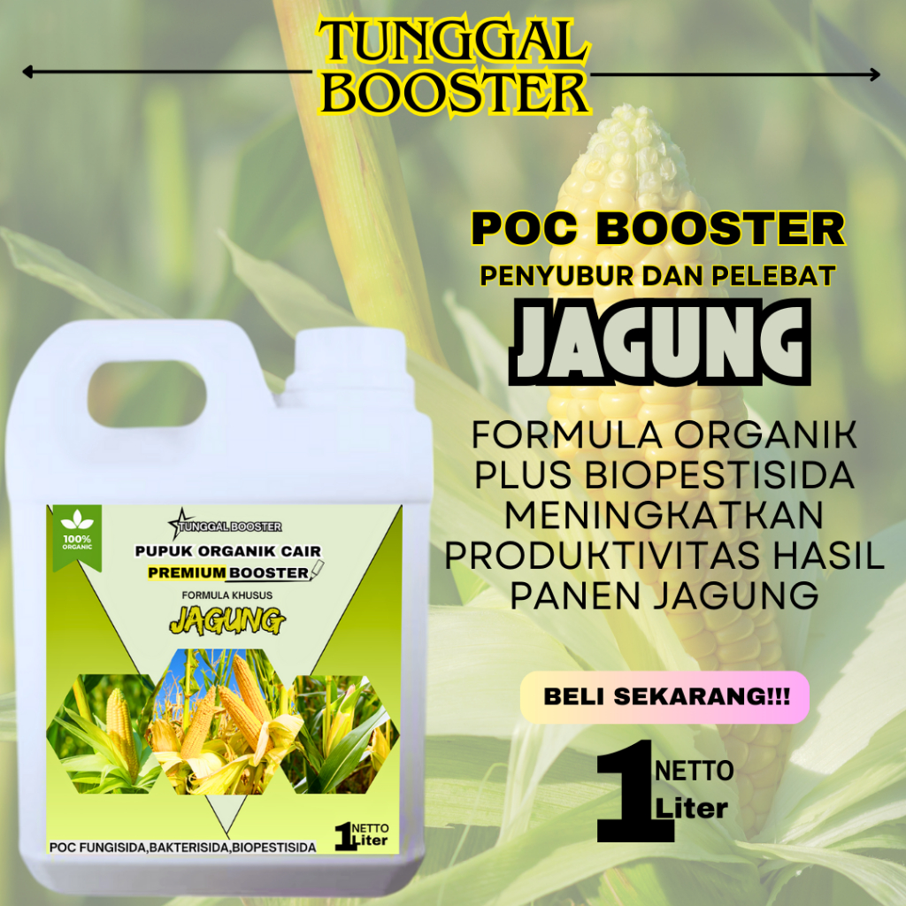 Jual POC Pupuk Organik Cair Tanaman Jagung/Booster Pelebat dan Perangsang Jagung/Jagung Bebuah ...