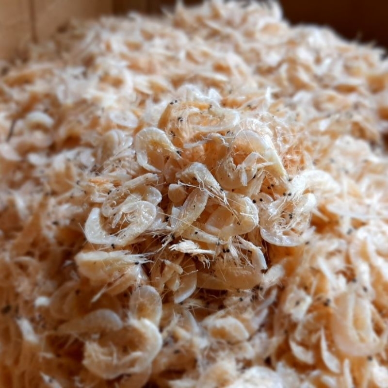Jual asin udang rebon kering 100g by pasar Tasik online | Shopee Indonesia