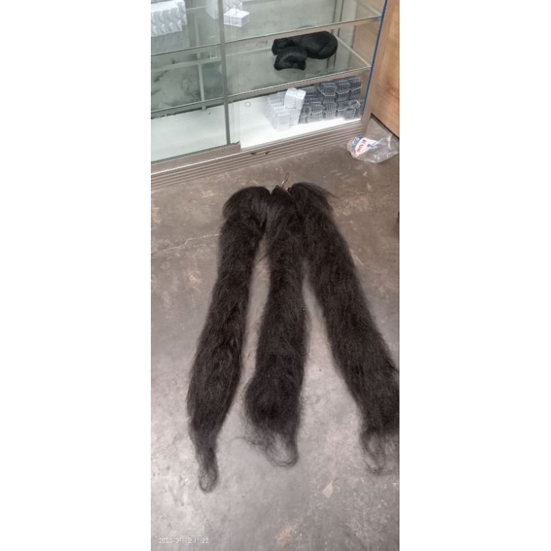 Jual Rambut cemoro topeng buto gedruk full tulang ,cemoro tulang ...