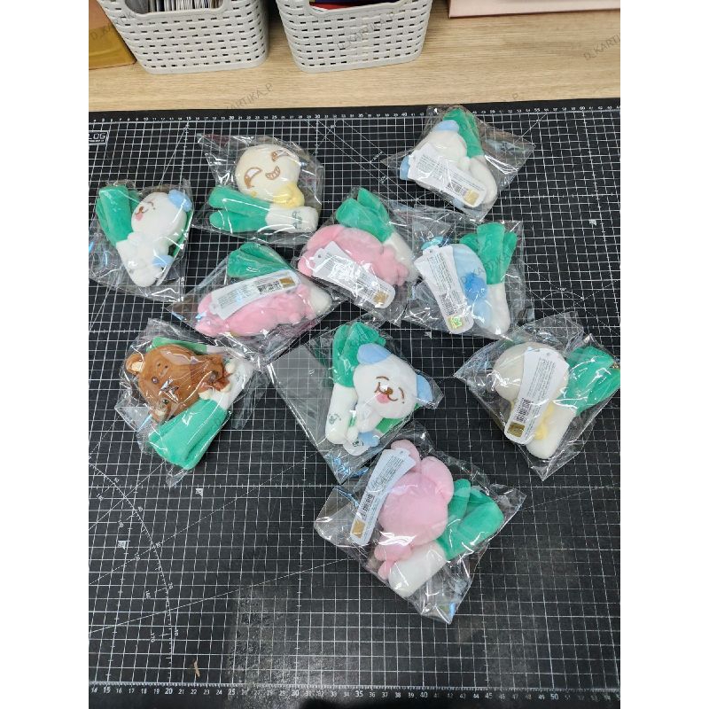 Jual NCT DREAM FINDER : Chase The Light MAGNET MINI DOLL DAUN BAWANG ...