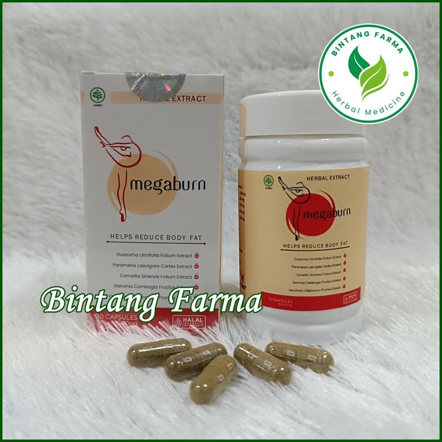 Jual Megaburn Kapsul Brigit Original Asli Obat Herbal Pelangsing Diet ...