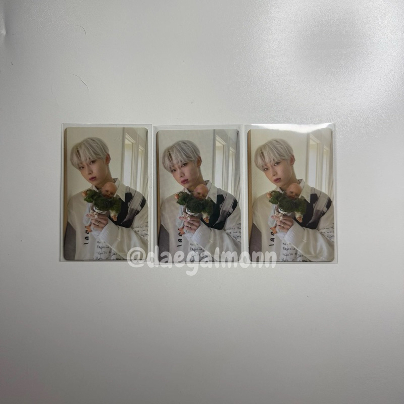 Jual Photocard pc album BDC sunoo boneka official | Shopee Indonesia