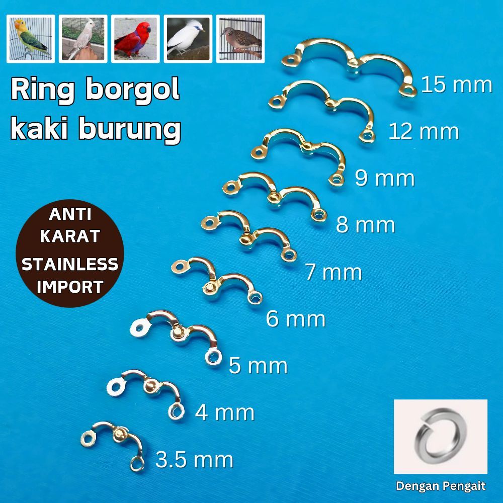 Jual Ring Borgol Stainless IMPORT Tahan Karat Untuk Kaki Burung ...