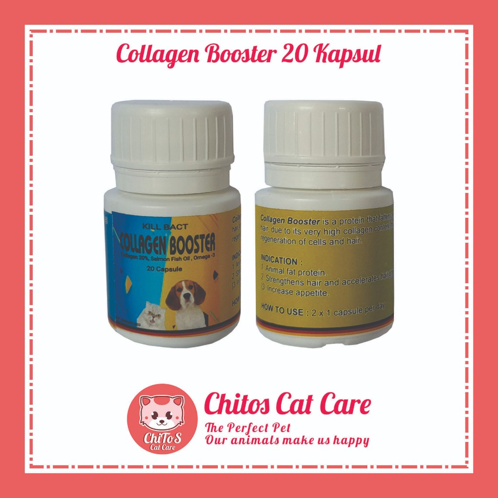 Jual KILL BACT COLLAGEN BOOSTER PROTEIN DAN COLLAGEN CAT PROTEIN ...