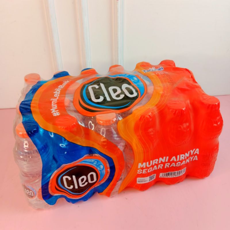 Jual Cleo Air Minum Kemasan Air Mineral 220ml x 24 Botol Air Minum 1 ...