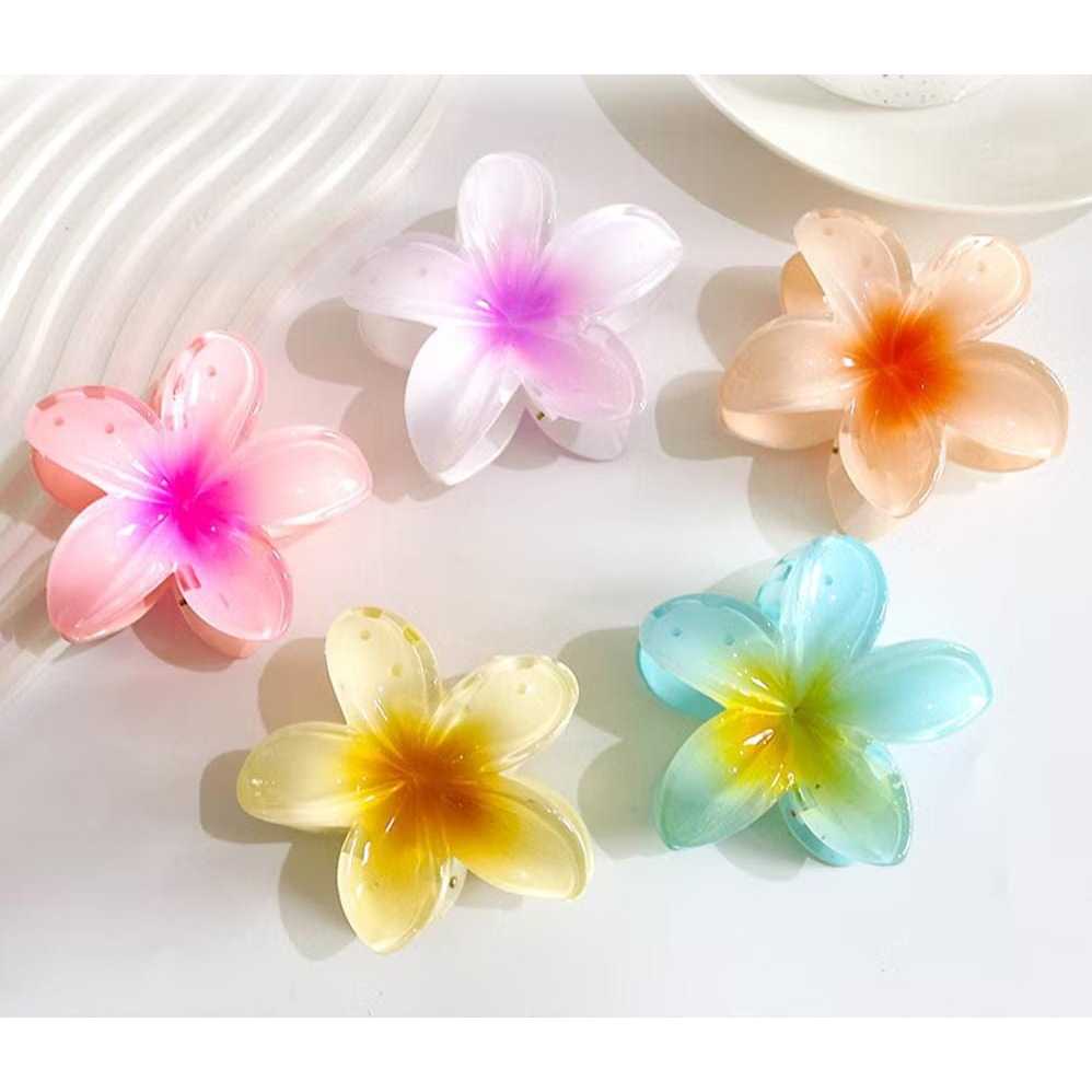 Jual Jepit Rambut Model Bunga Kamboja Akrilik Aksesoris Rambut Gaya Korea | Shopee Indonesia
