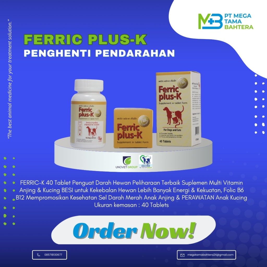 Jual Ferric Plus-K (40 Tablet) | Shopee Indonesia