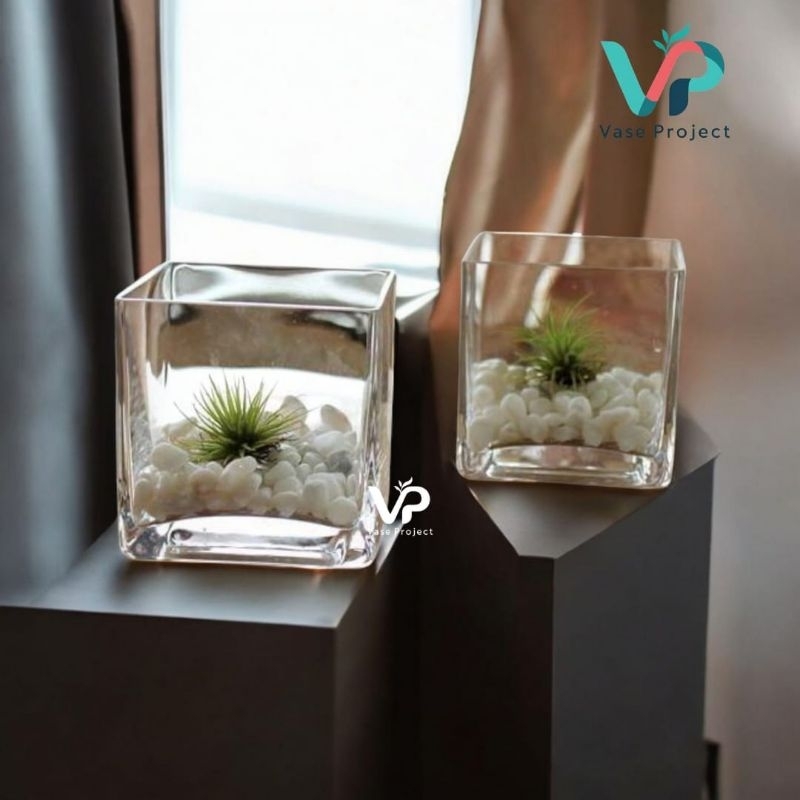 Jual Vas Bunga Kaca Persegi 6x6 cm 8x8 cm | Vas Kaca Kotak | Terarium ...