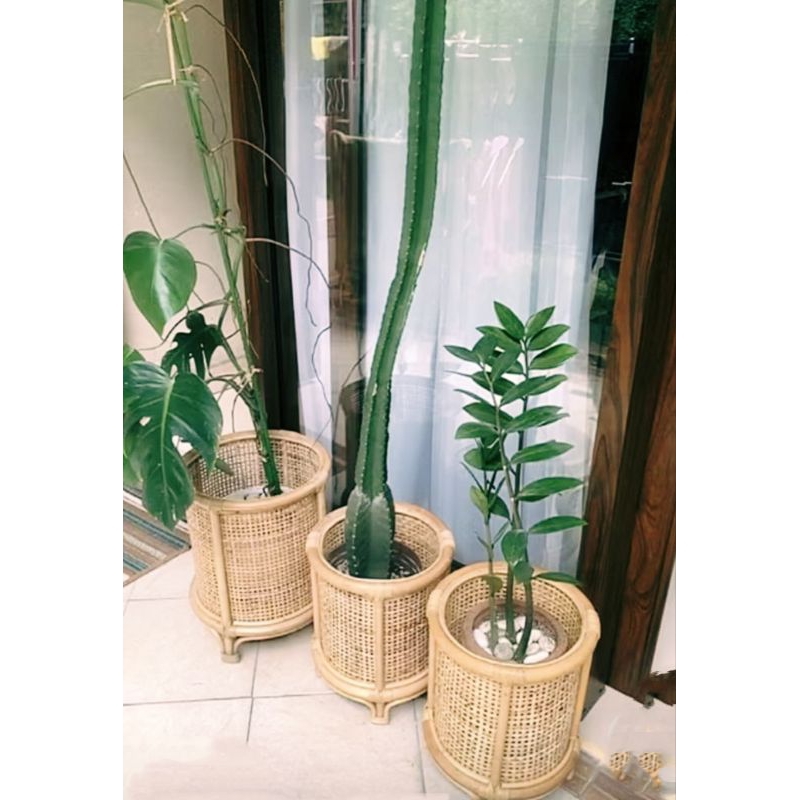 Jual POT ROTAN AESTHETIC MODERN GAYA | Shopee Indonesia