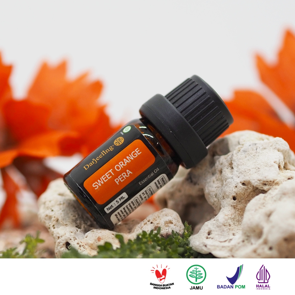 Jual Darjeeling Sweet Orange Pera Pure Essential Oil / Minyak Jeruk ...
