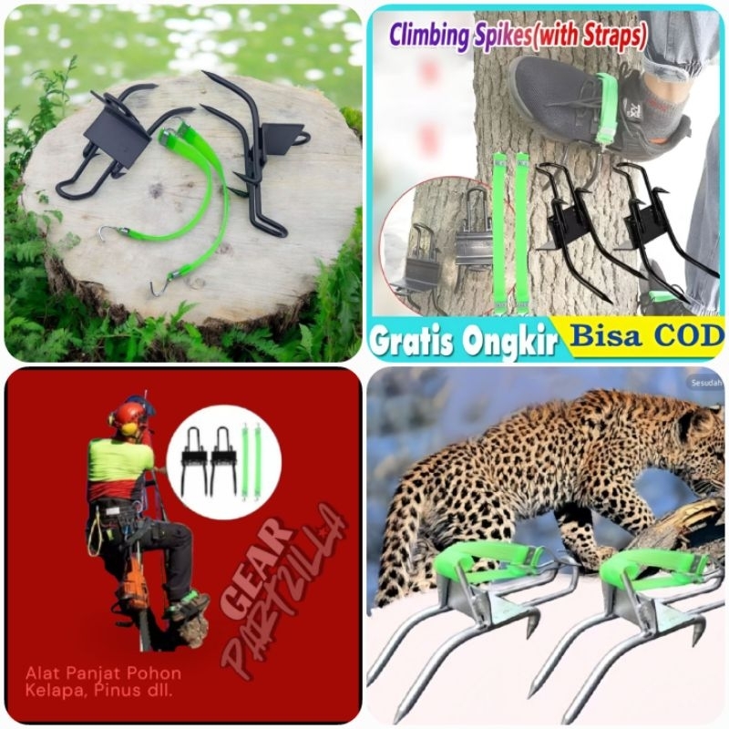 Jual Tree Climbing/Alat Panjat Pohon Kelapa/Pinus dll Kuat & Tajam ...