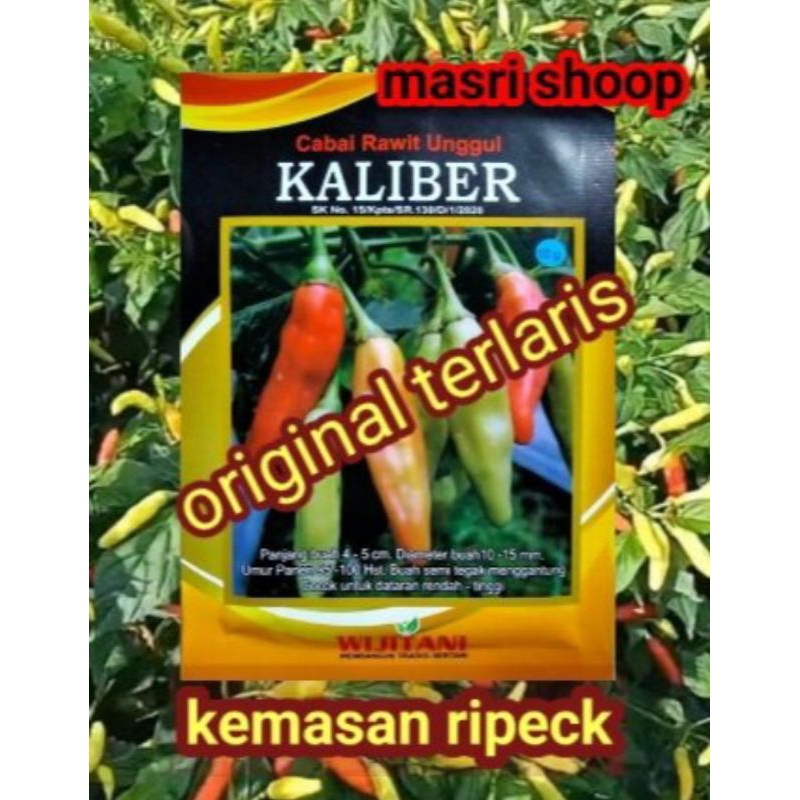 Jual benih cabai rawit kaliber by wiji tani original | Shopee Indonesia