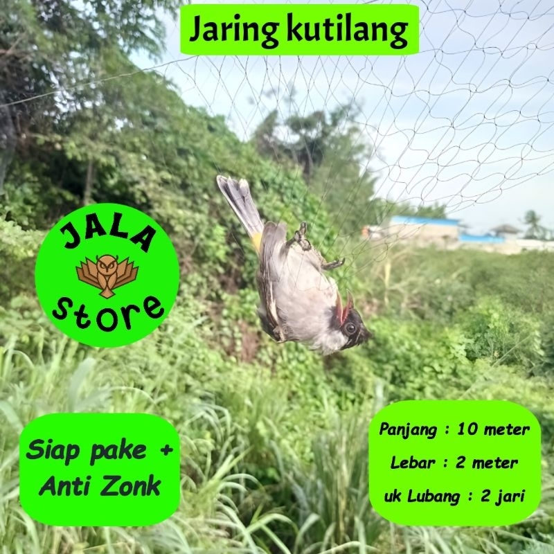 Jual JARING KUTILANG JARING CANGKURILANG JARING GENTILANG JARING 2 INCI ...