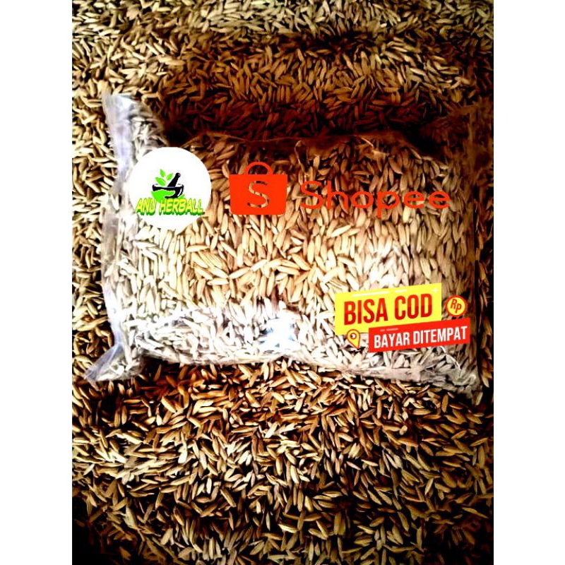 Jual BENIH PADI BERAS MERAH 1KG | Shopee Indonesia