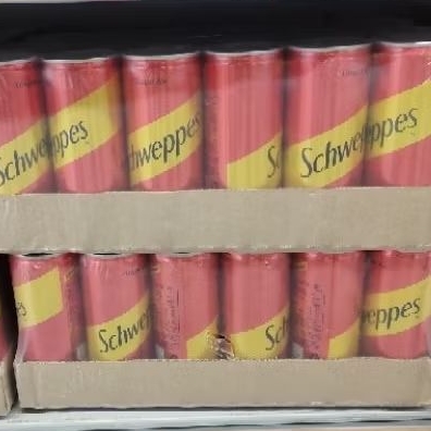 Jual Schweppes Ginger Ale 250ml 1 dus 24 pcs | Shopee Indonesia