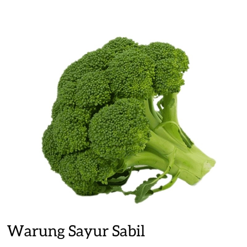 Jual Brokoli 1 Kg Terlengkap & Harga Terbaru April 2026 | Shopee Indonesia