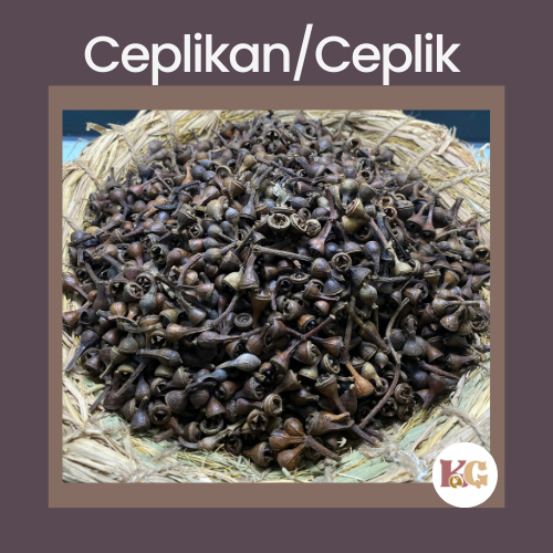 Jual Ceplikan/Ceplik Sari Kering Herbal Tradisional | Shopee Indonesia
