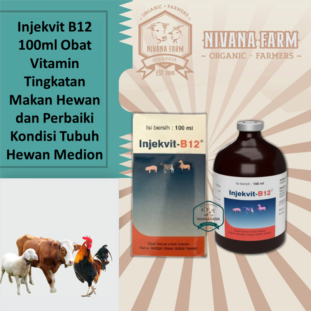 Jual Injekvit B12 100ml Obat Vitamin Tingkatan Makan Hewan dan Perbaiki ...