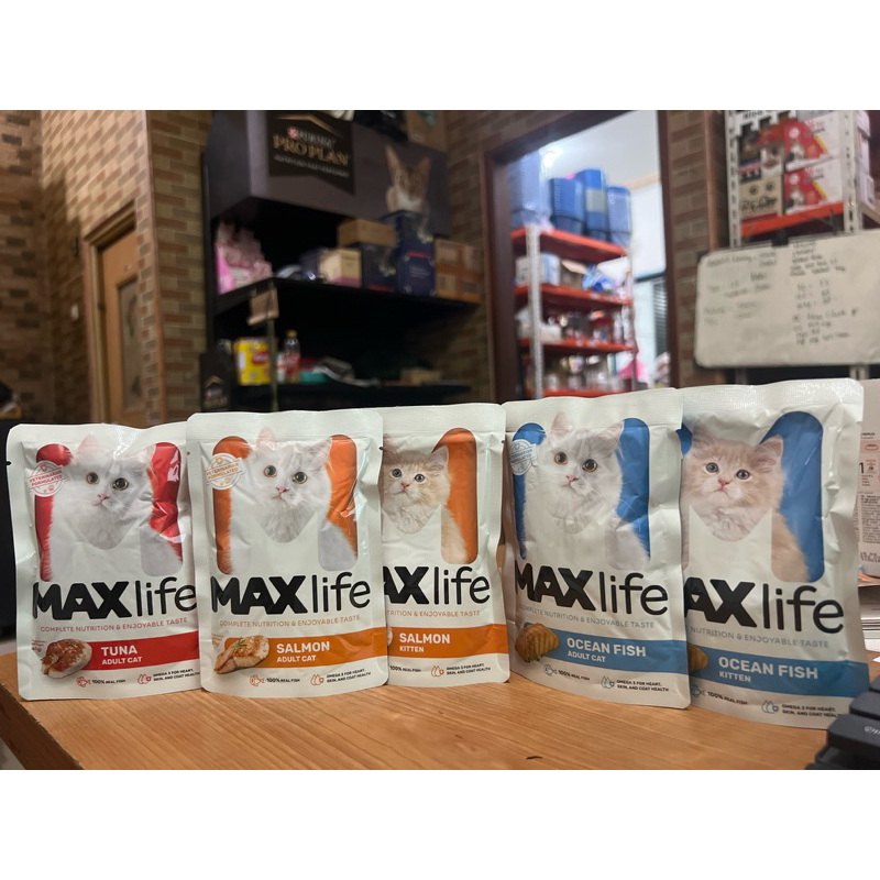 Jual MAXlife max life cat Wet Food Tuna || kitten or adult Pouch 85gr ...