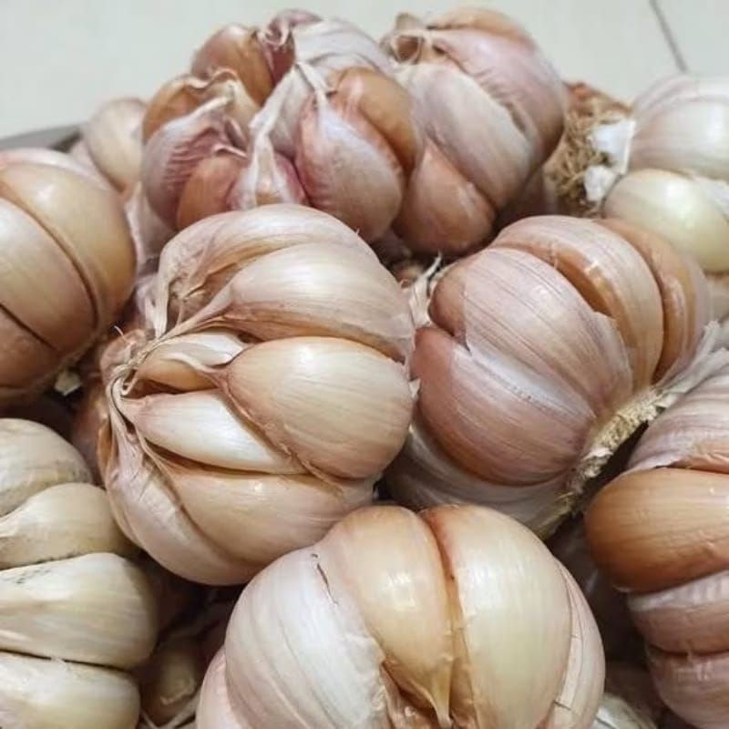 Jual 1KG Bawang Putih Bersih Fresh Baput Segar | Shopee Indonesia