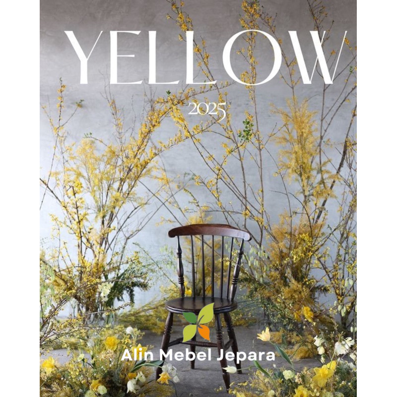 Jual Kursi Slit, Kursi Cafe, Kursi Studio poto ,Kursi Properti Studio ...