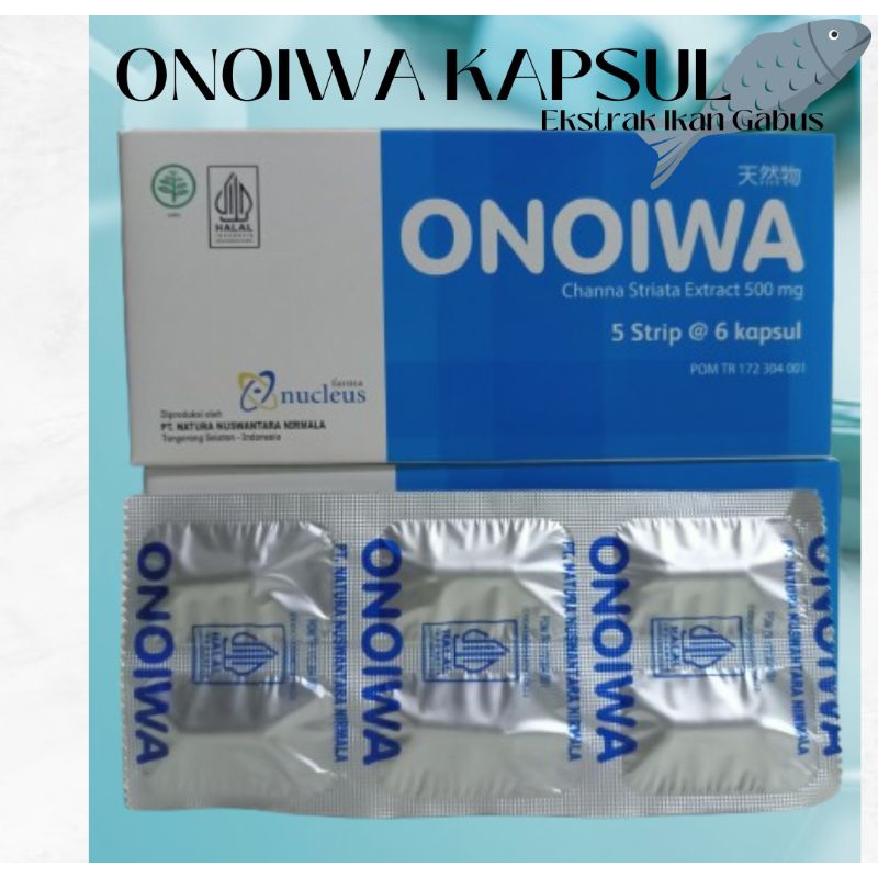 Jual ONOIWA KAPSUL ALBUMIN TUBUH | Shopee Indonesia