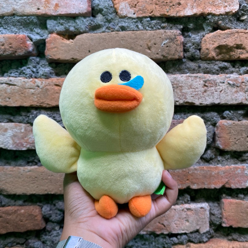 Jual Sally Line Friends Ingus | Shopee Indonesia