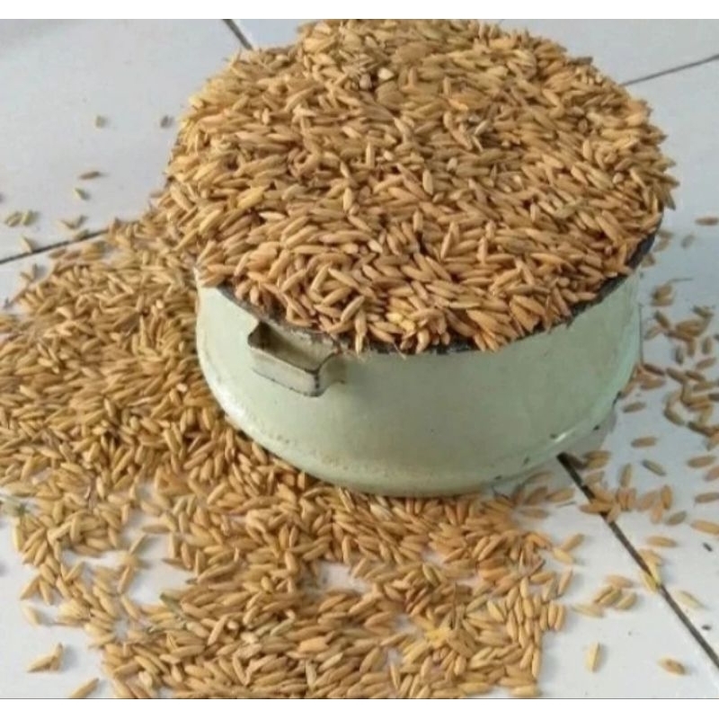 Jual Gabah merah pakan ayam/burung 25kg/sak | Shopee Indonesia
