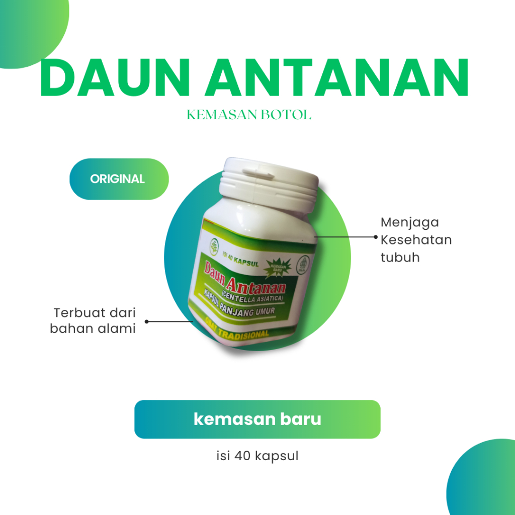 Jual JAMU KAPSUL DAUN ANTANA ORIGINAL EDISI KHUSUS KEMASAN BOTOL ISI 40 ...