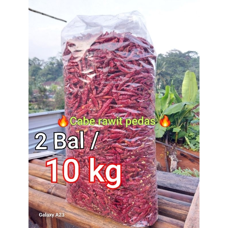 Jual [10 KG] Cabe Rawit Teja Super Pedas / Kemasan 10Kg/ Murah - Merah ...