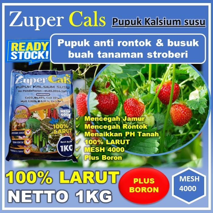 Jual Pupuk tanaman stroberi yang ampuh - mencegah tanaman stroberi dari ...